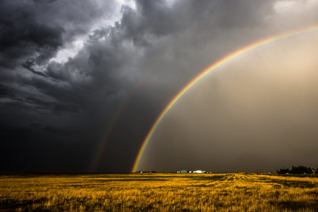 Light & Shadow at Higher Stages - Guest: Kim Barta, Developmental ...